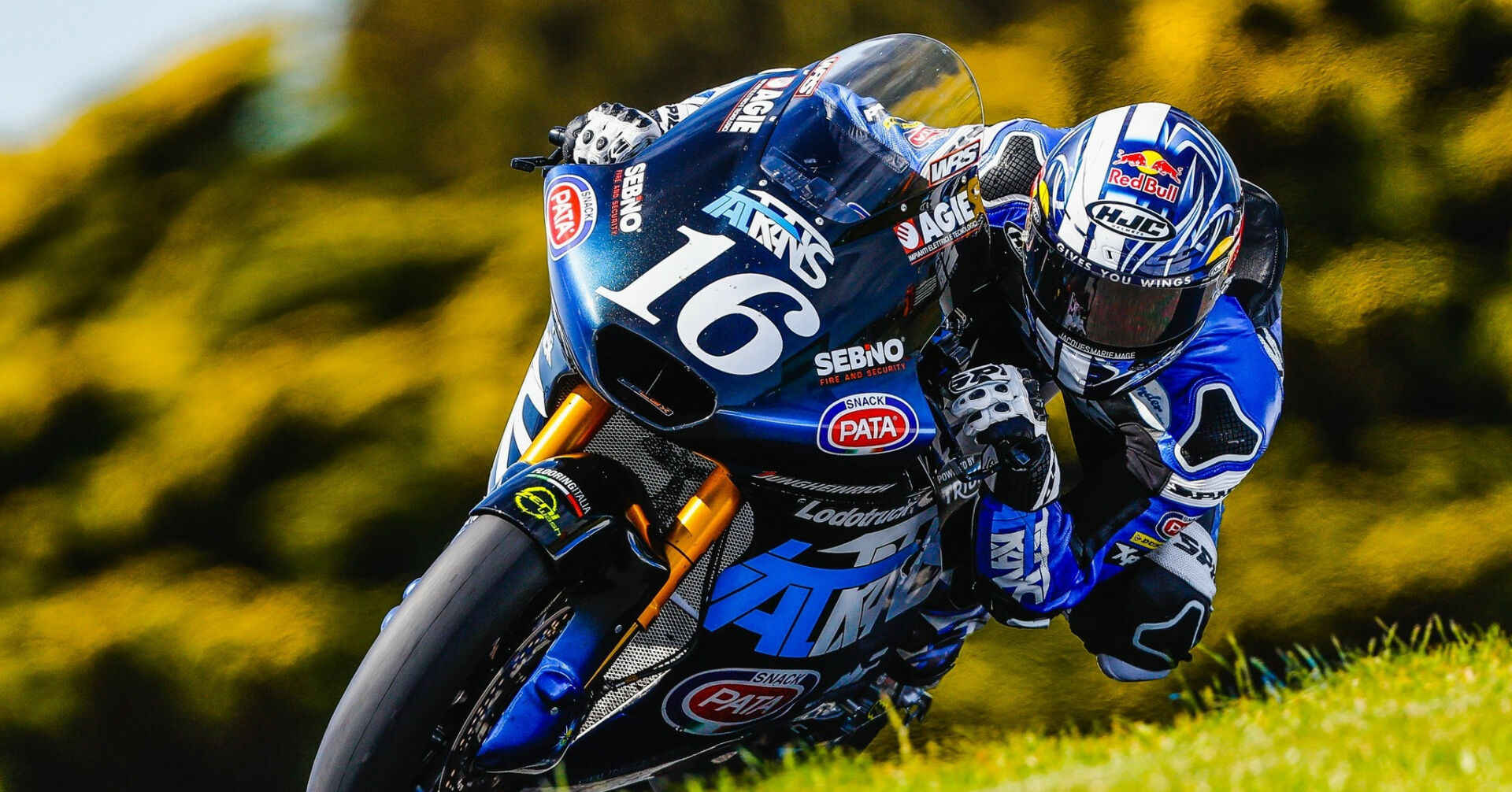 Moto2: Aldeguer Earns Pole, Roberts Qualifies P4 At Phillip Island ...